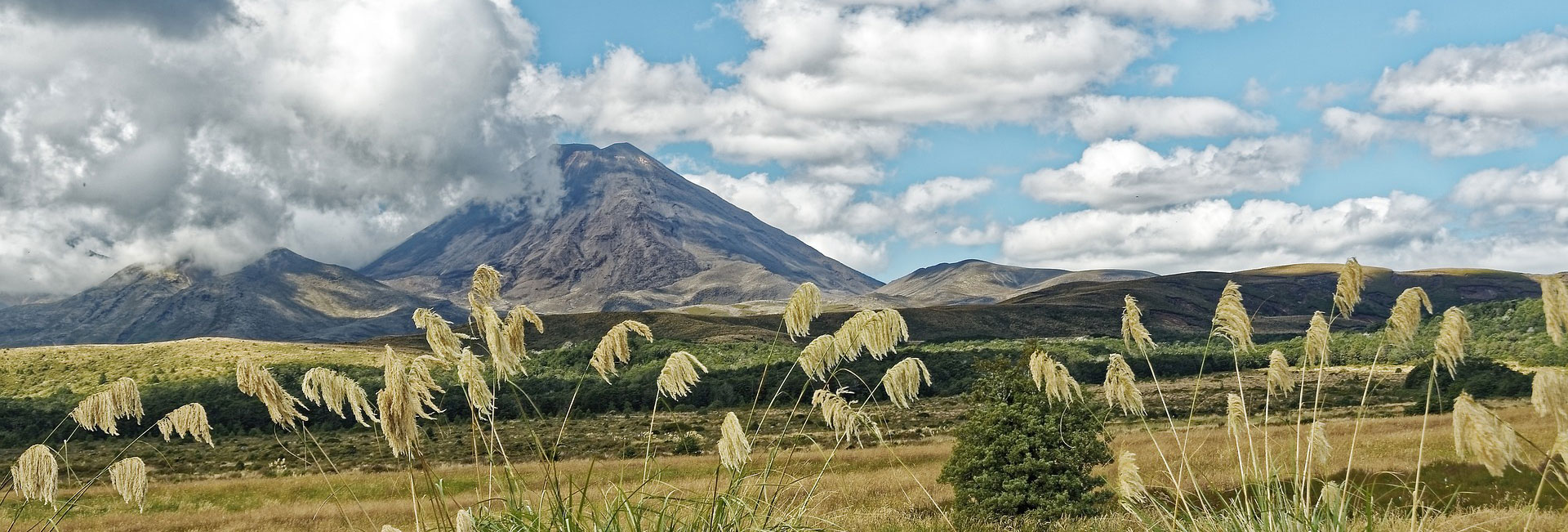 Contact Us » Bremca