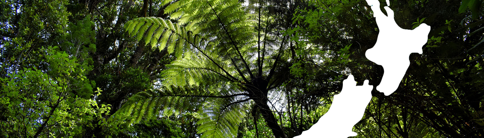 Our Locations in New Zealand » Bremca